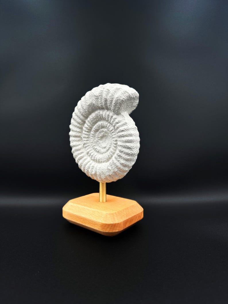 Elegant Ammonite Sculpture | Natural Fossil-inspired Decor | Hand ...