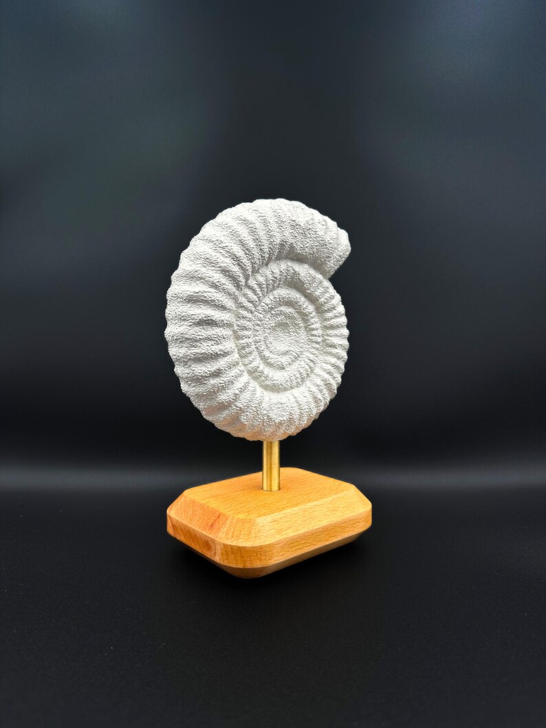 Elegant Ammonite Sculpture | Natural Fossil-inspired Decor | Hand ...