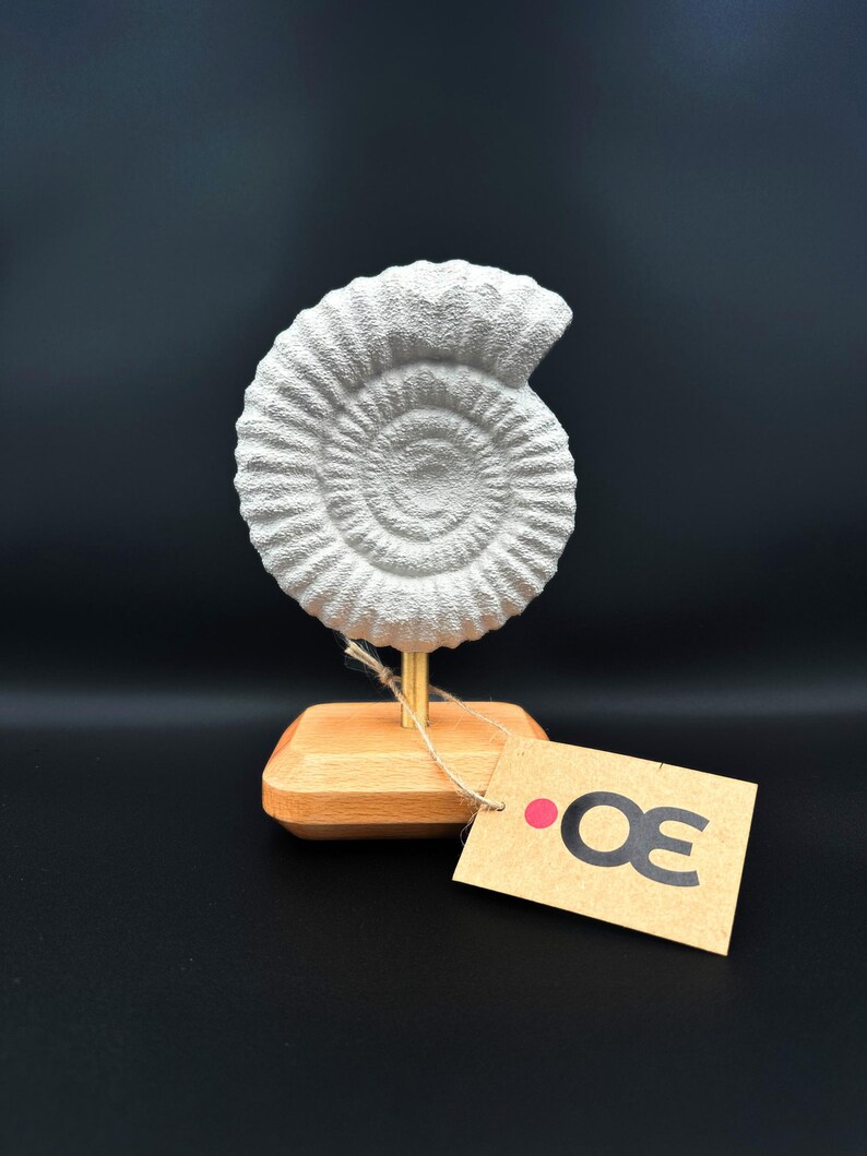 Elegant Ammonite Sculpture | Natural Fossil-inspired Decor | Hand ...