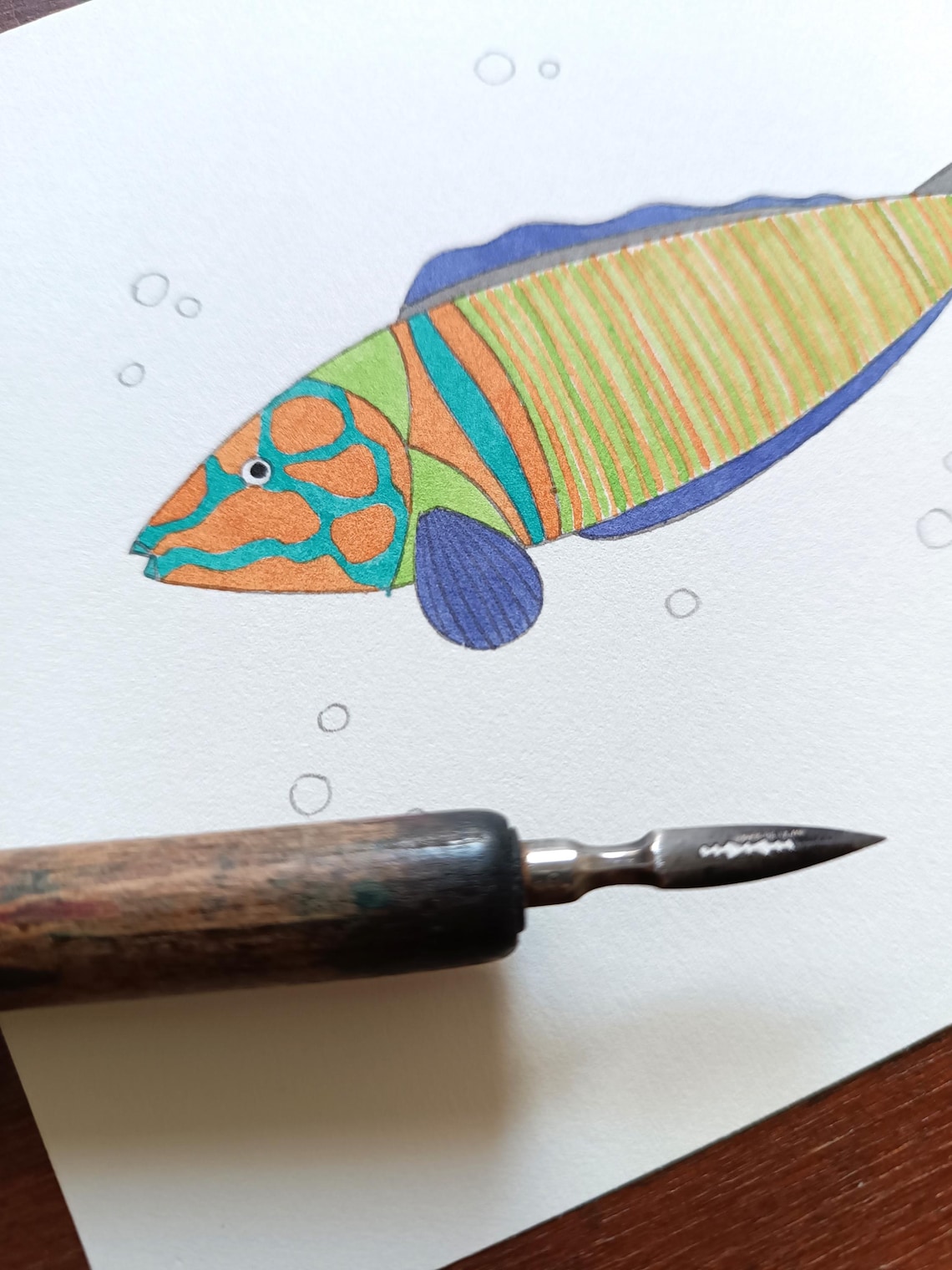 Small Fish Art Original Illustration Ornate Wrasse/donzella Pavonina ...