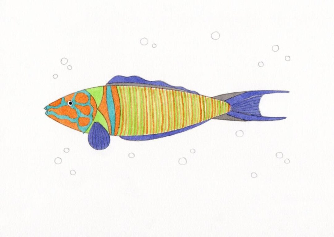 Ornate Wrasse (12x17cm): Original Fish Art ~ Hand-painted Drawing ~ Ink ...