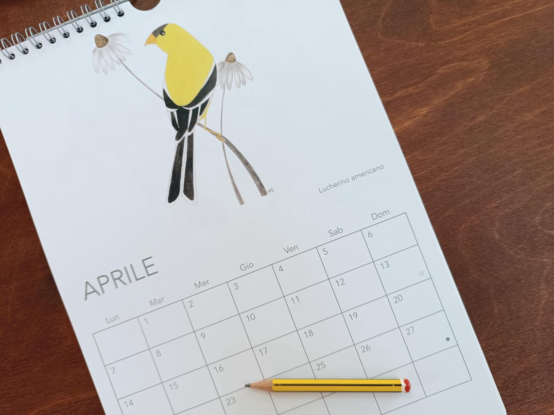 Bird Calendar 2025 A4 Illustrated Wall Calendar 21x29.7cm Moon Phases ...