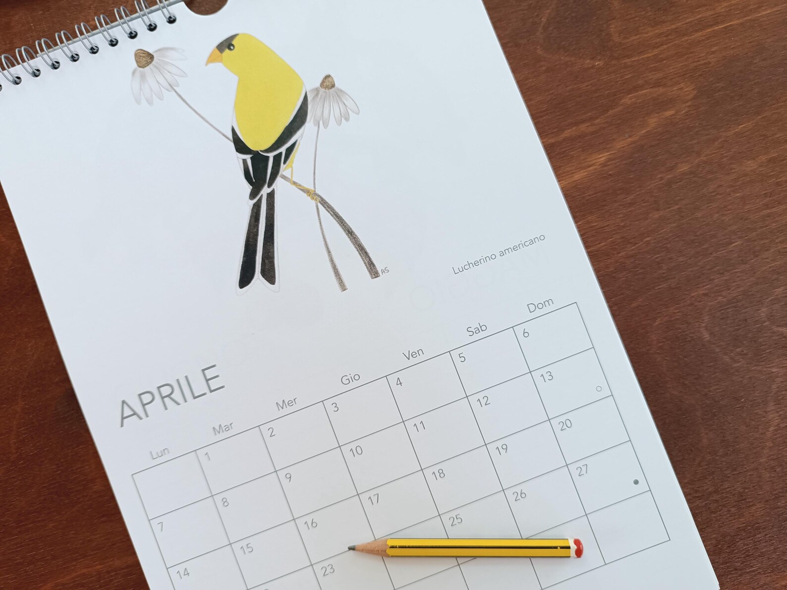 Bird Calendar 2025 A4 Illustrated Wall Calendar 21x29.7cm Moon Phases ...