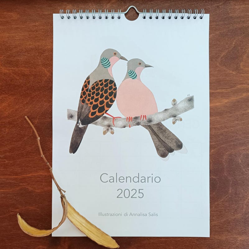 Owl 2025 Calendar - Etsy