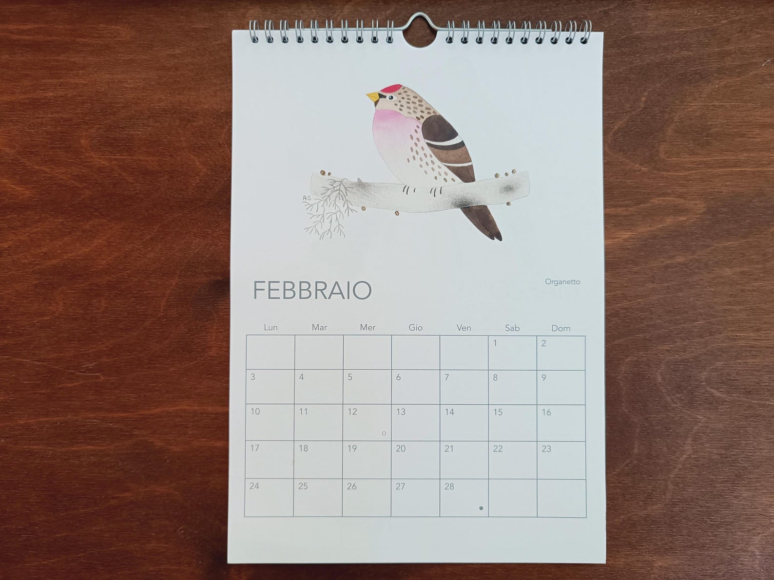 Bird Calendar 2025 A4 Illustrated Wall Calendar 21x29.7cm Moon Phases ...