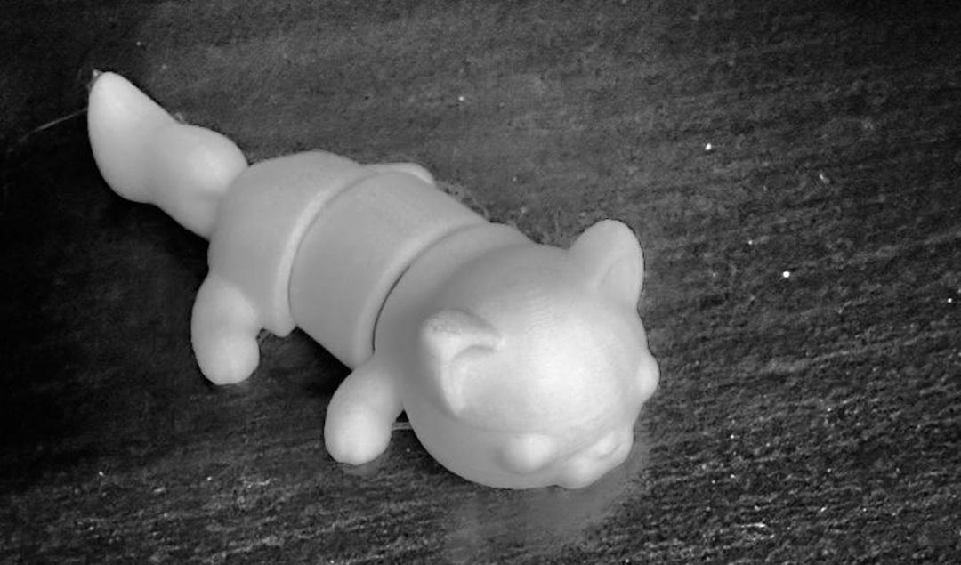 Fidget Articulated Cat 3D Printed - Etsy