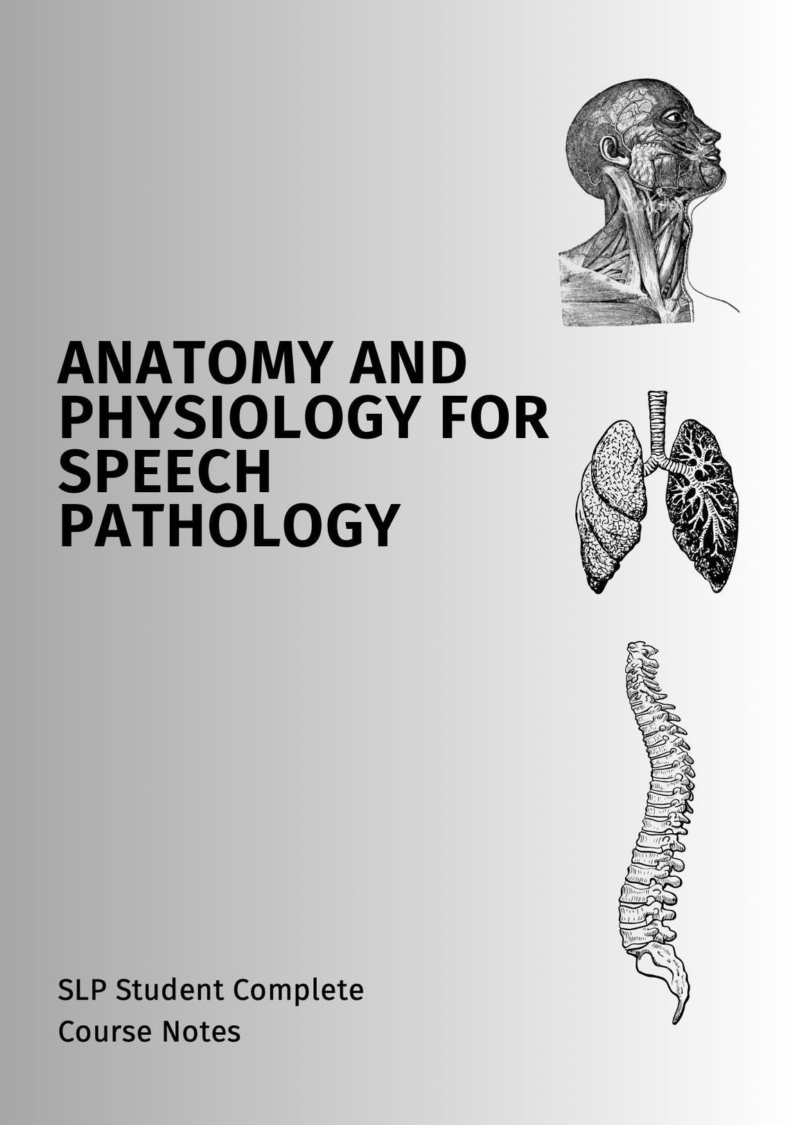 SLP Anatomy and Physiology Complete Course Guide - Etsy