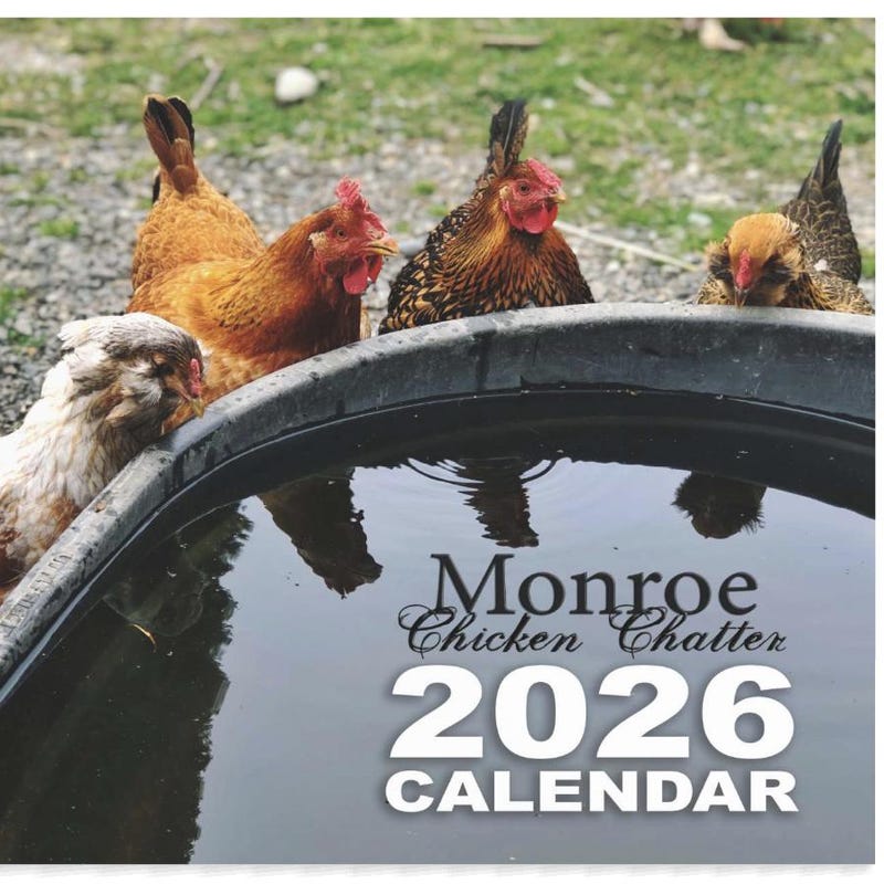 Chicken Calendar 2026 - Etsy