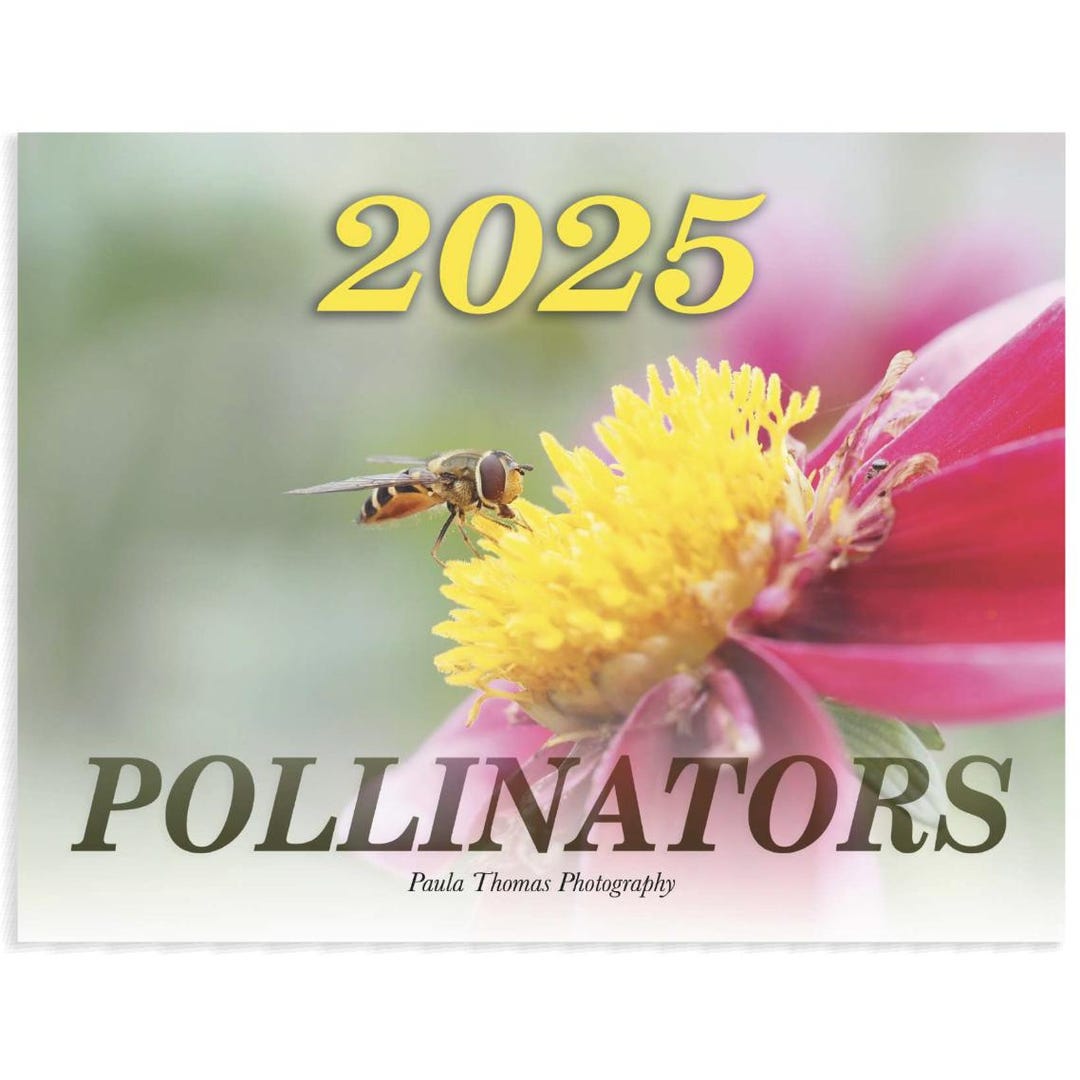 2025 Pollinator Calendar - Etsy