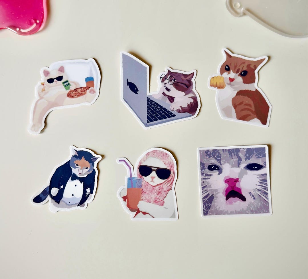 Funny Cat Meme Stickers for Water Bottles, Notebooks, Laptops, and Kindles Sticker Pack Gift for ...