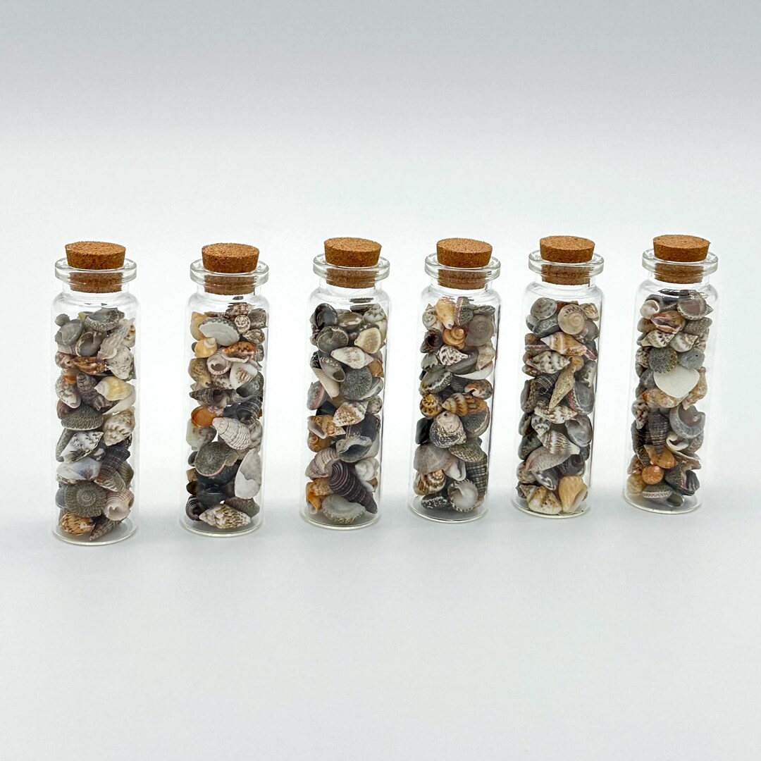 Cape Cod Mini Seashells in a Glass Jar With Cork - Etsy