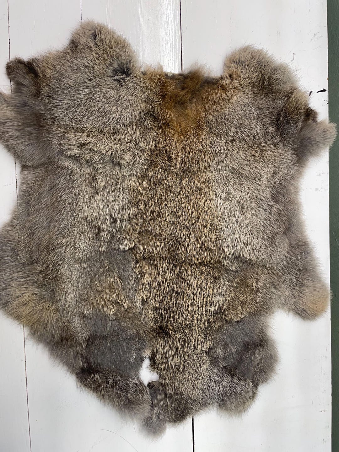 Dark Brown Rabbit Pelt - Etsy