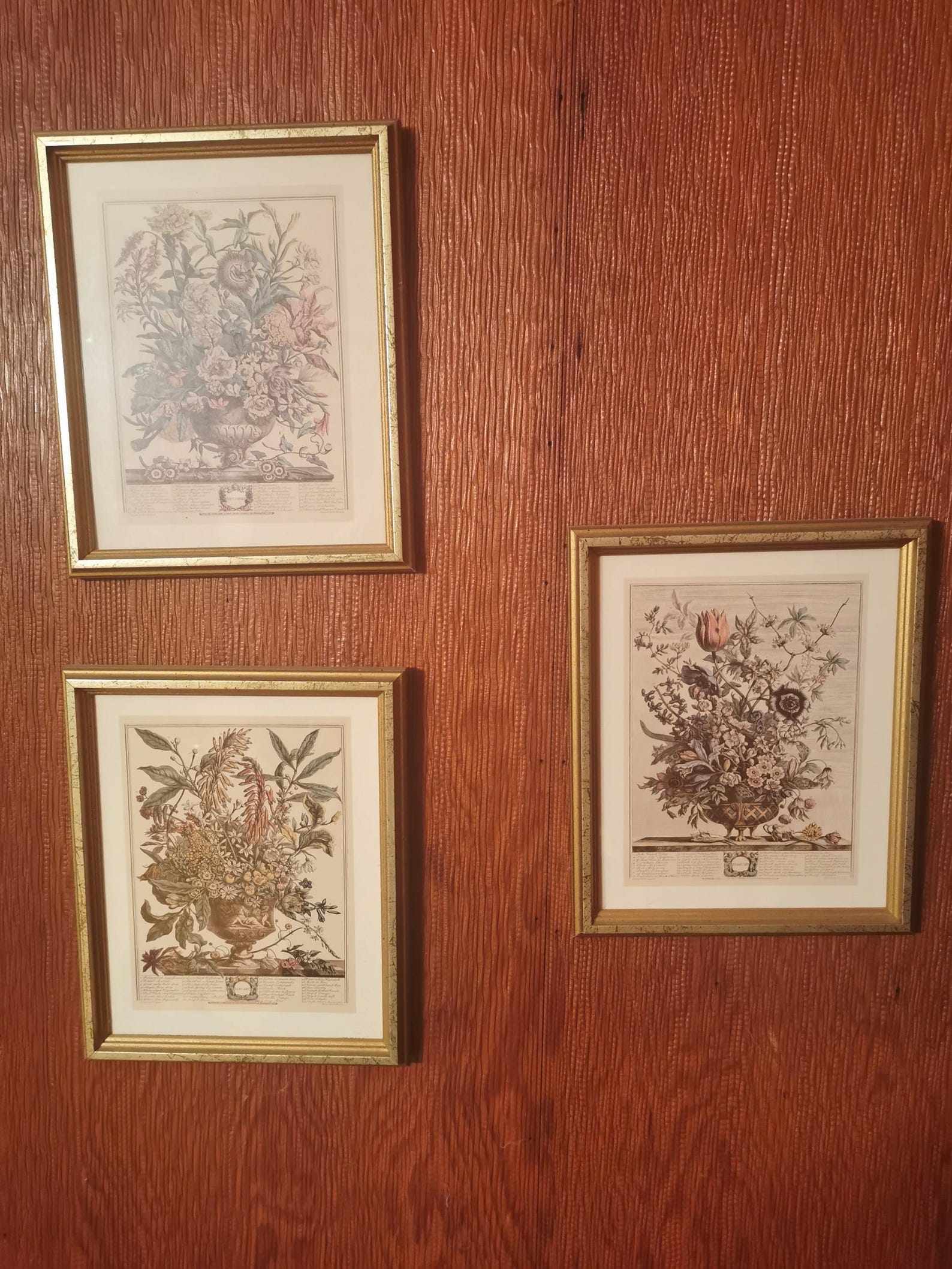 Set of 3 Framed Prints Robert Furber Gardiner 12 Months of Flowers Sep ...