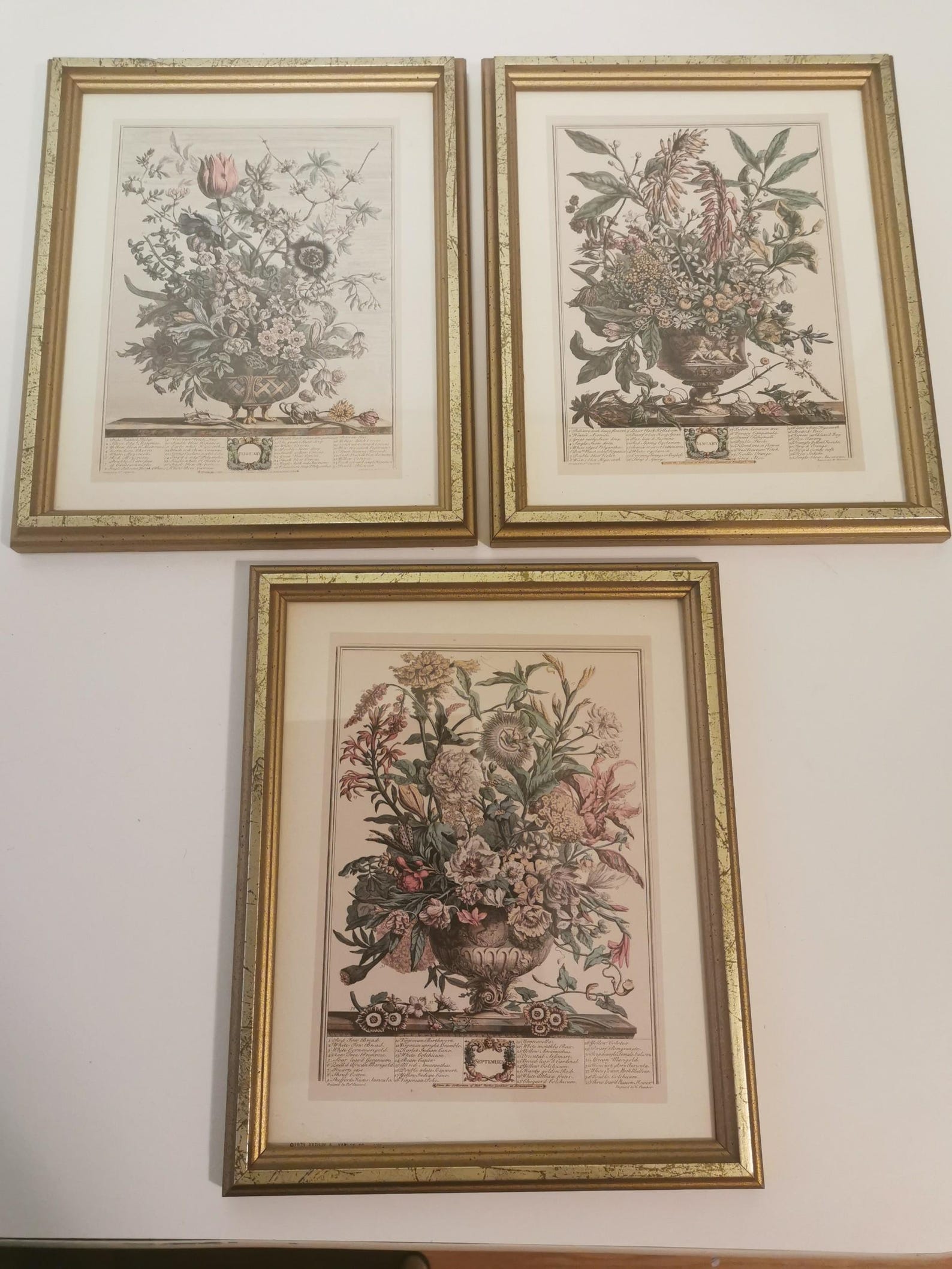 Set of 3 Framed Prints Robert Furber Gardiner 12 Months of Flowers Sep ...