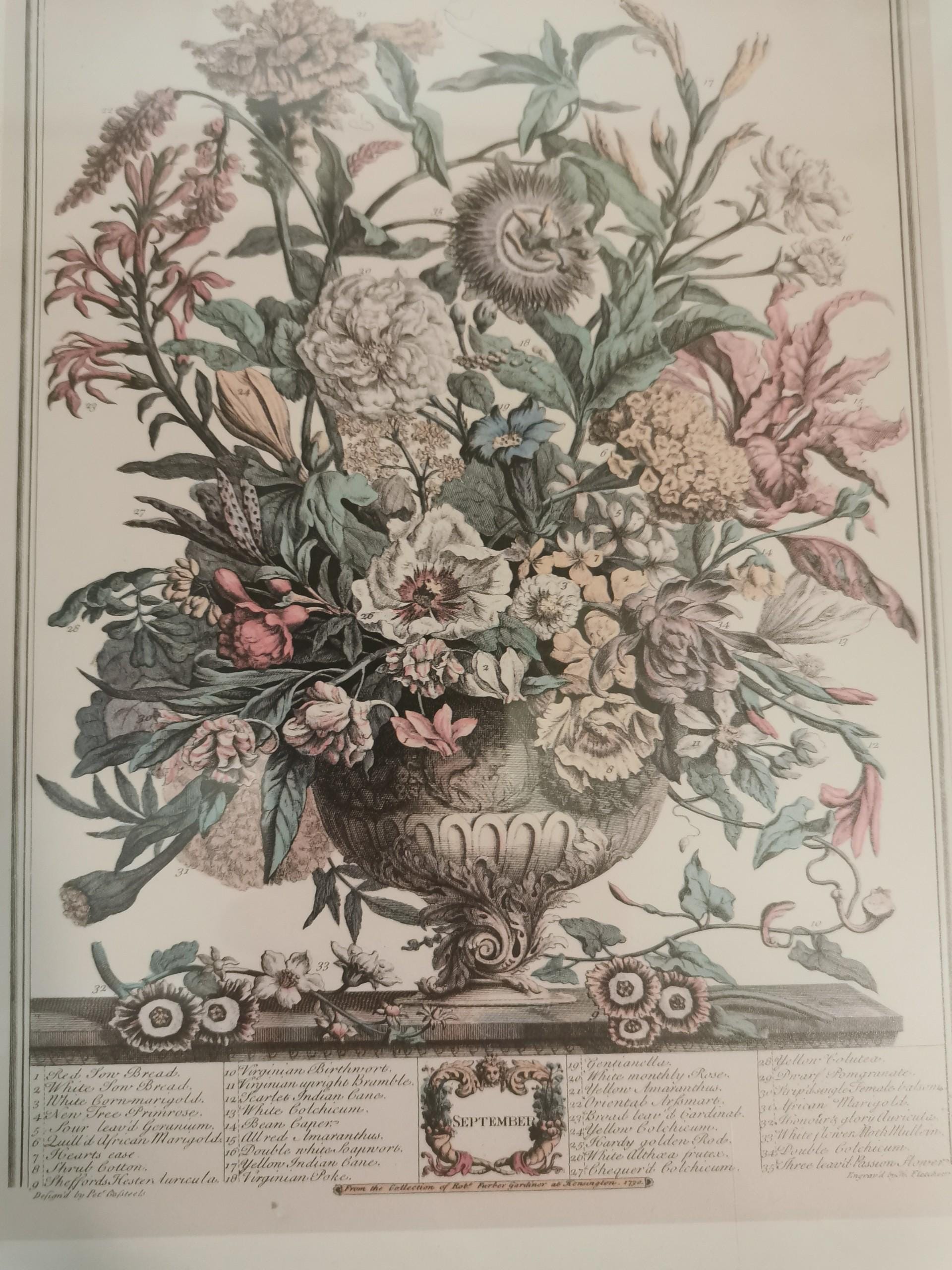Set of 3 Framed Prints Robert Furber Gardiner 12 Months of Flowers Sep ...