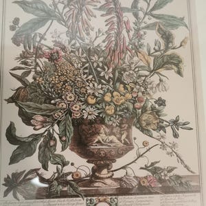 Set of 3 Framed Prints Robert Furber Gardiner 12 Months of Flowers Sep ...