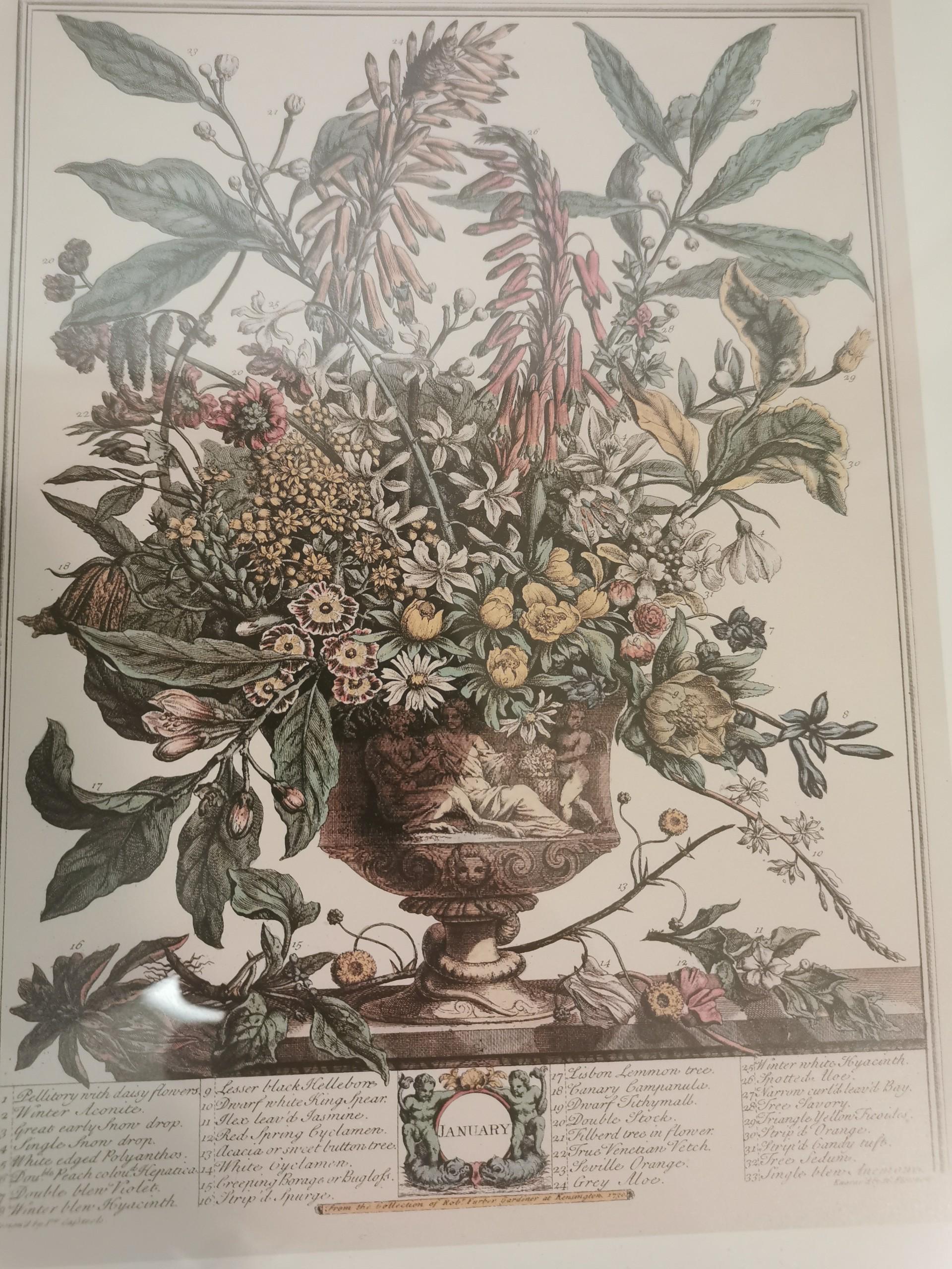 Set of 3 Framed Prints Robert Furber Gardiner 12 Months of Flowers Sep ...