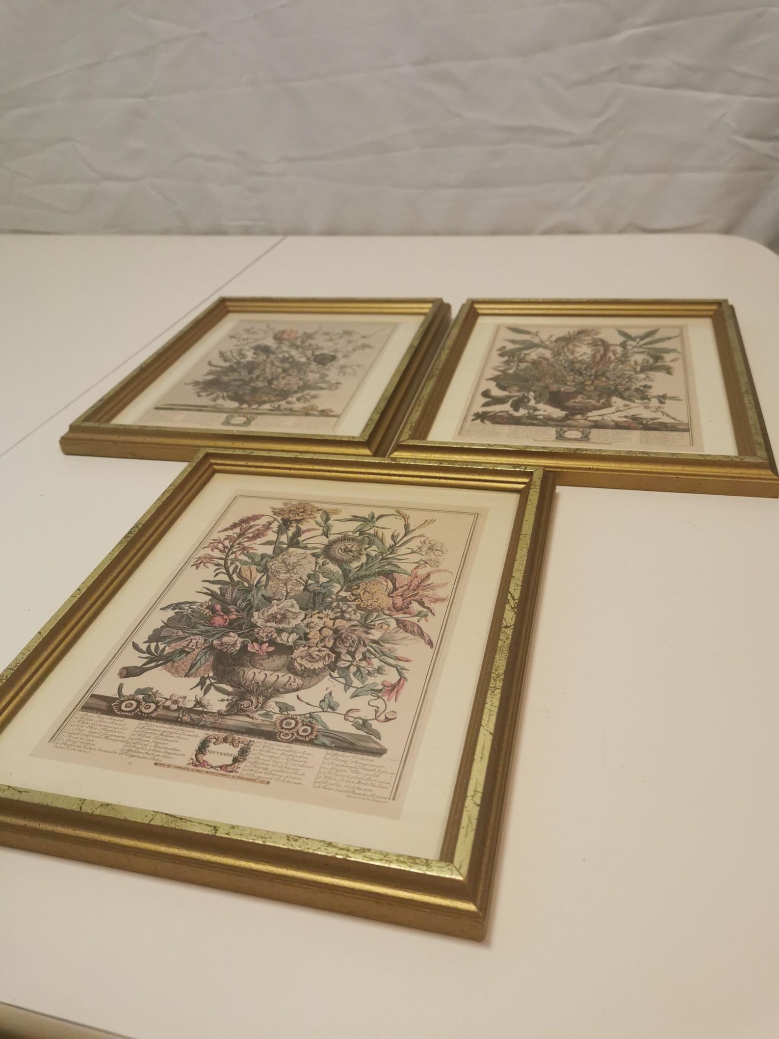 Set of 3 Framed Prints Robert Furber Gardiner 12 Months of Flowers Sep ...