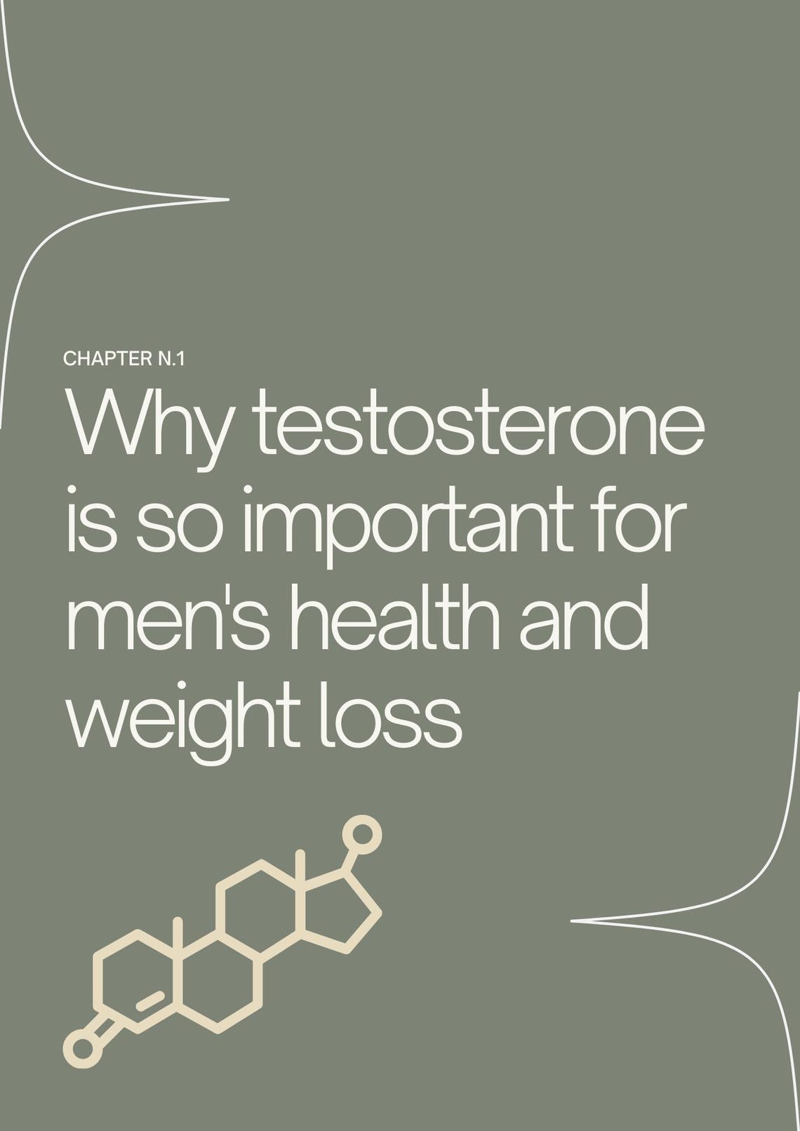 Testosterone Revive Lose Fat,the Ultimate Testosterone Boost Plan,men's ...