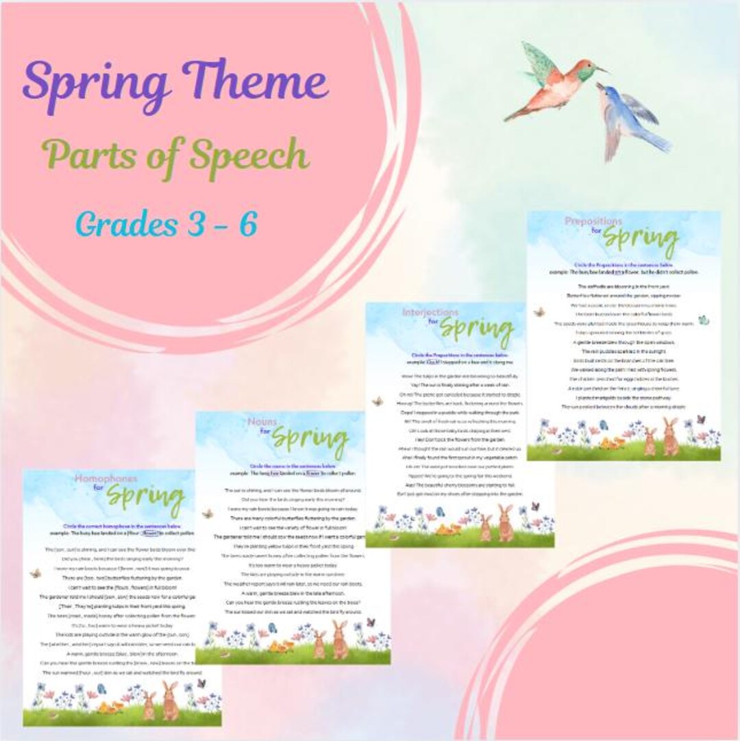 Spring Theme Parts of Speech - Etsy