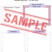 Matilda By: Roald Dahl Novel Study Grades 2-5 - Etsy