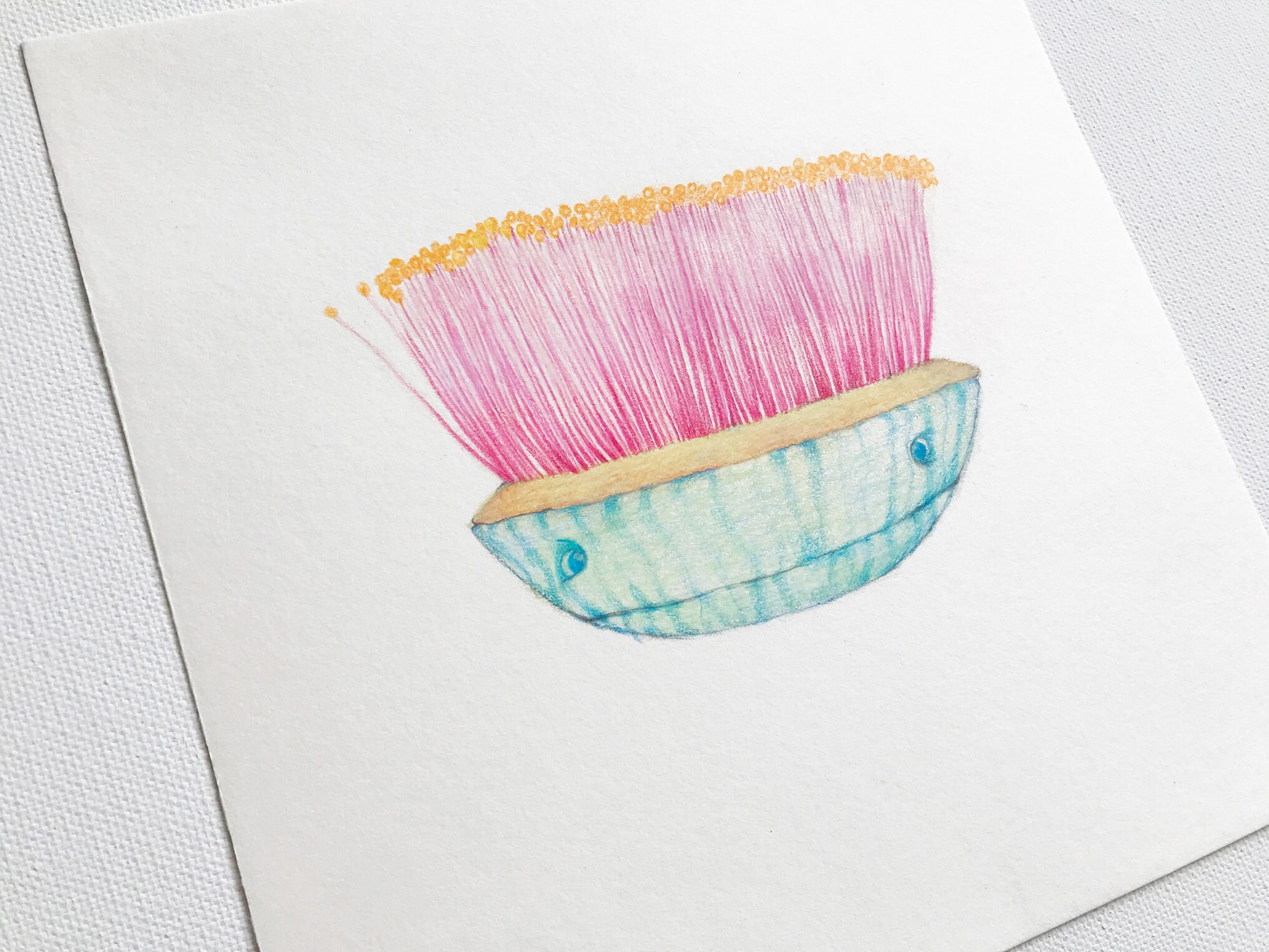 The Colour of Spring / Original Pencil Flower Drawing on Paper - Etsy