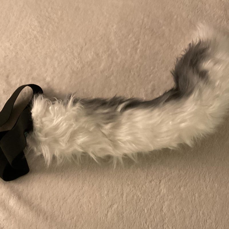 Hypermotion Tail - Etsy