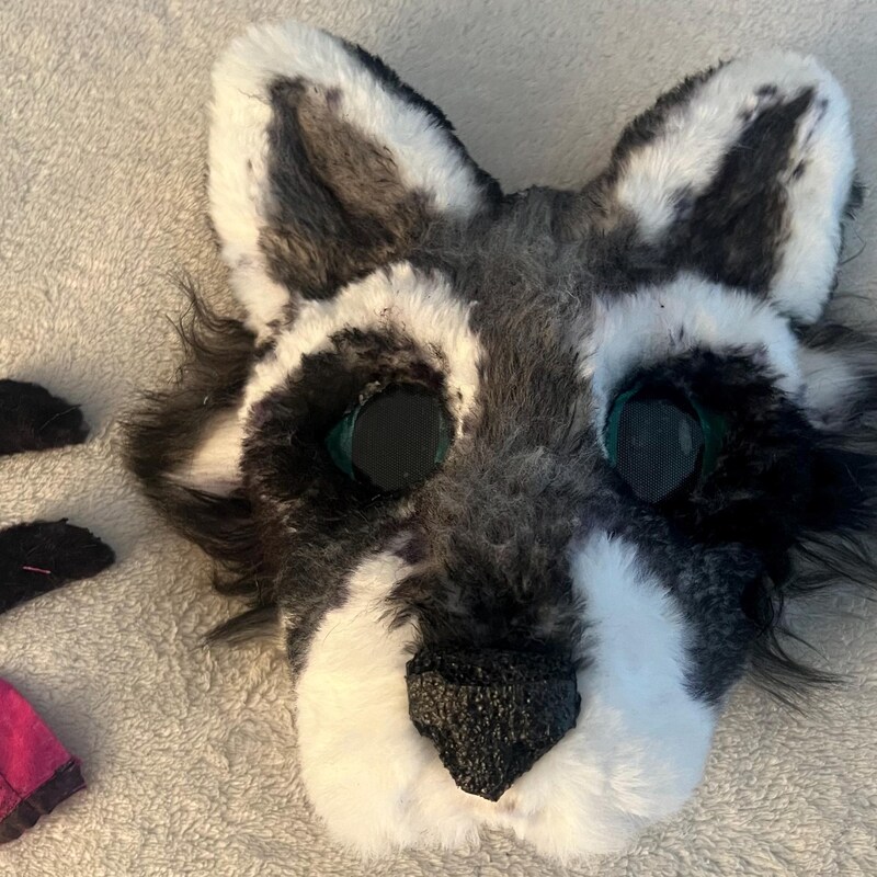 Therian Raccoon Mask - Etsy