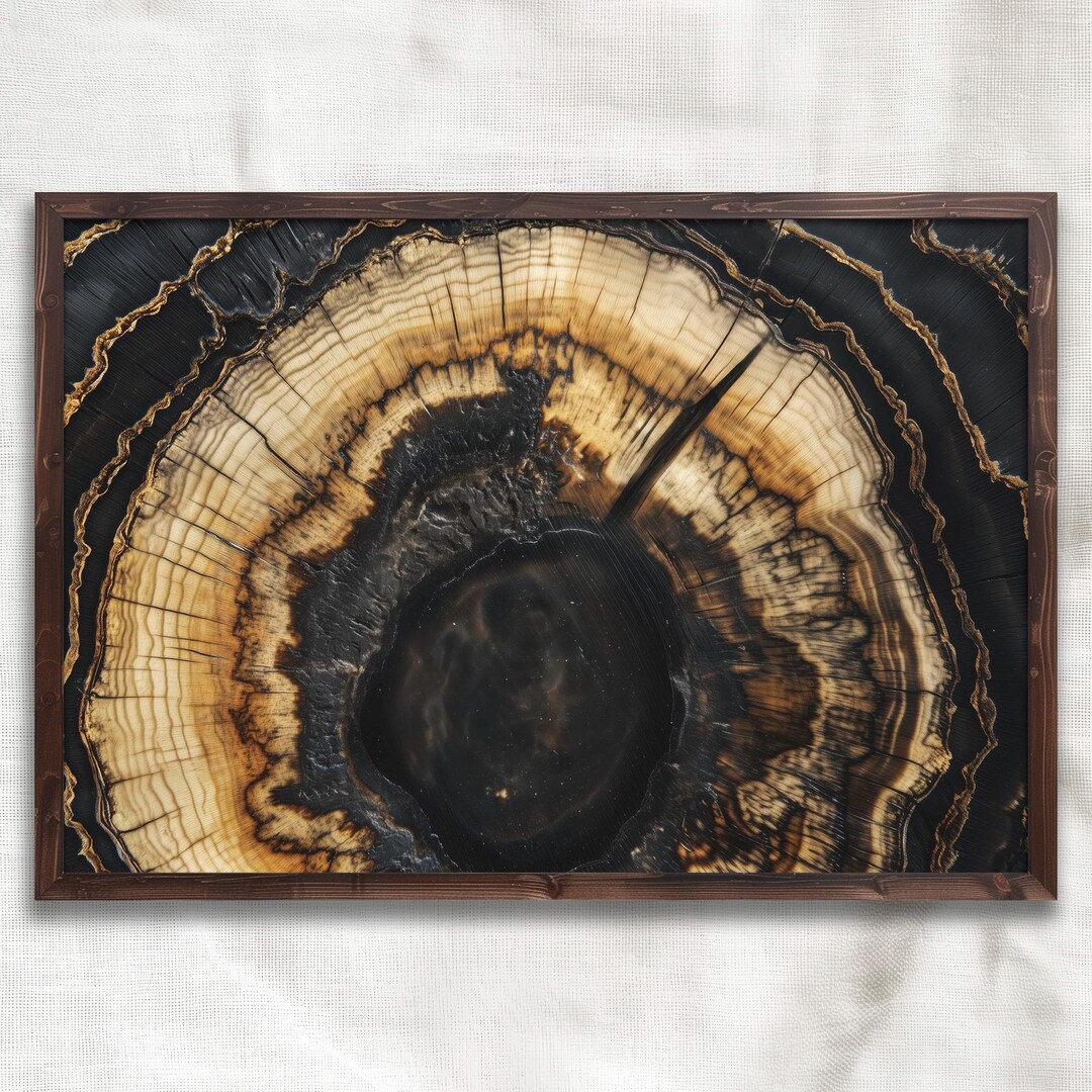 Old Tree Rings - Ancient Tree - High-resolution Printable Digital ...