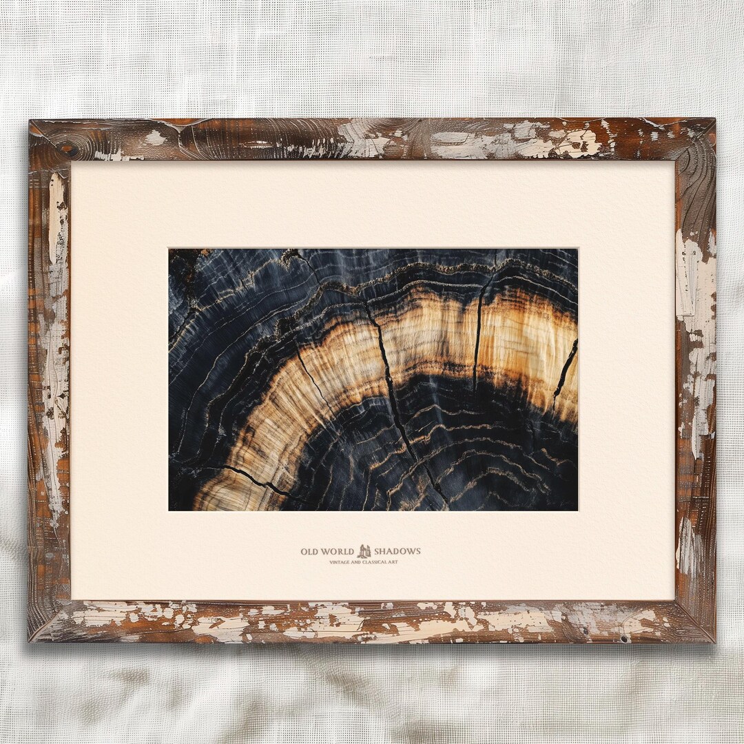 Ancient Tree Rings - Tree - High-resolution Printable Digital Download ...