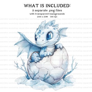 Baby Ice Dragons Clipart Set - Baby Dragon, Dragon Egg, Sitting Dragon ...