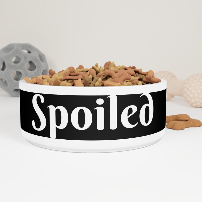 Fancy Cat Bowl - Etsy