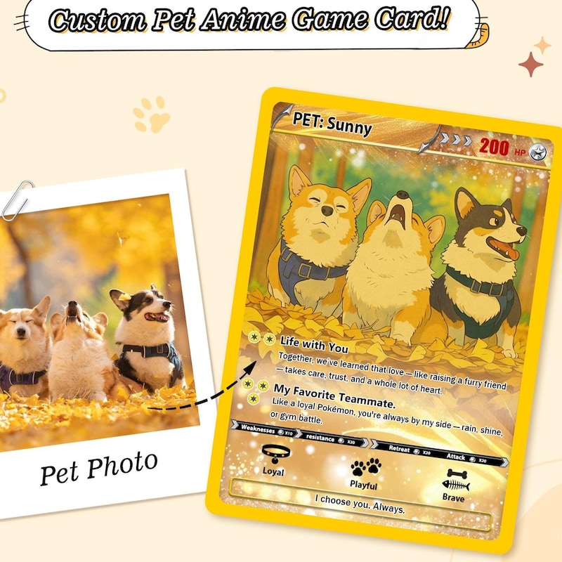 Anime Pet Toy - Etsy