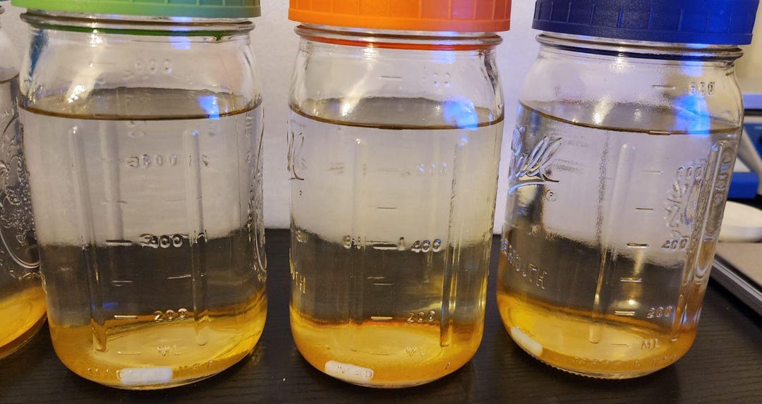 32oz Blank Master Culture Jars - Etsy