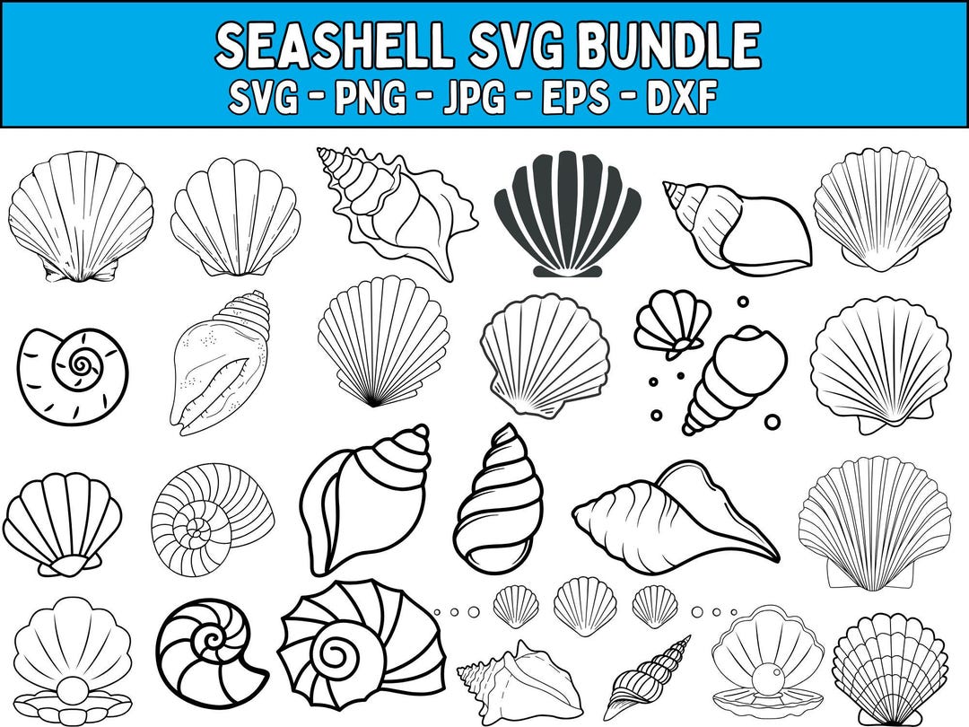Seashell SVG Bundle, Seashell PNG Bundle, Seashell Clipart, Seashell ...