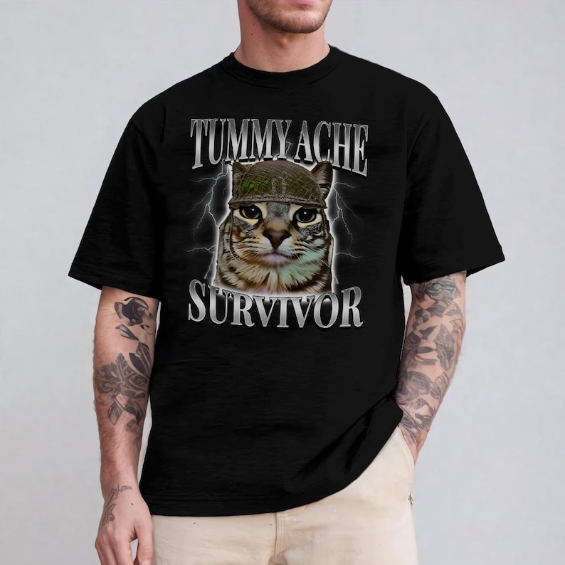 Tummy Ache Survivor Cat PNG, Funny Cat Meme Clipart, Sad War Soldier ...