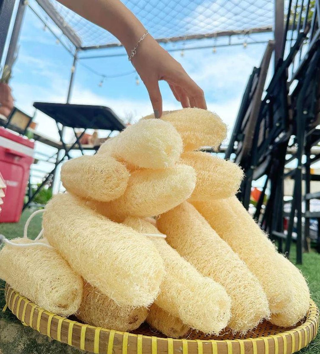 Natural Dried Loofah, Loofah for Bathing and Exfoliating, Loofah for ...