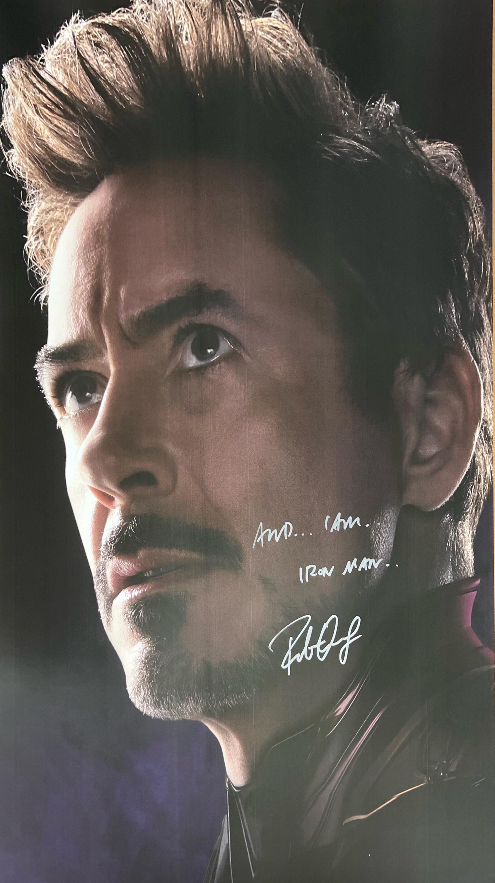 Autograph Signed Avengers Endgame Poster COA - Etsy