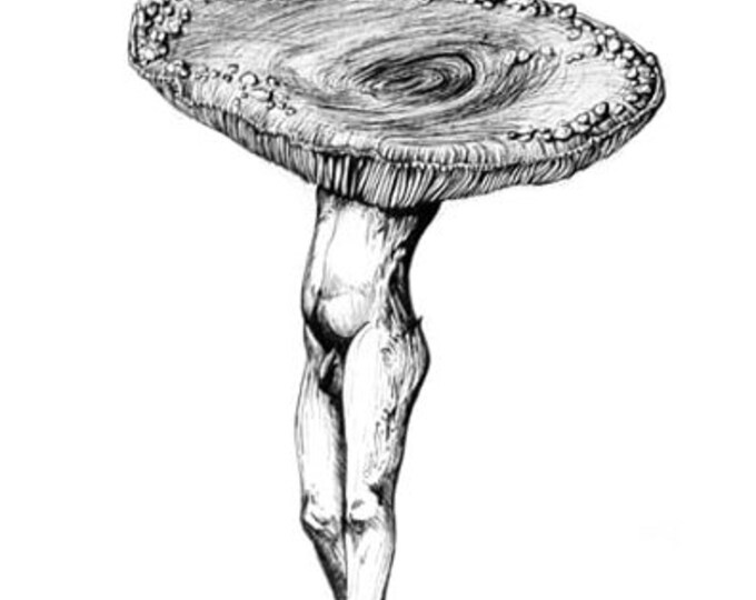 Flirtatious Fungi 8 Pen and Ink Mushroom Drawing April | Etsy