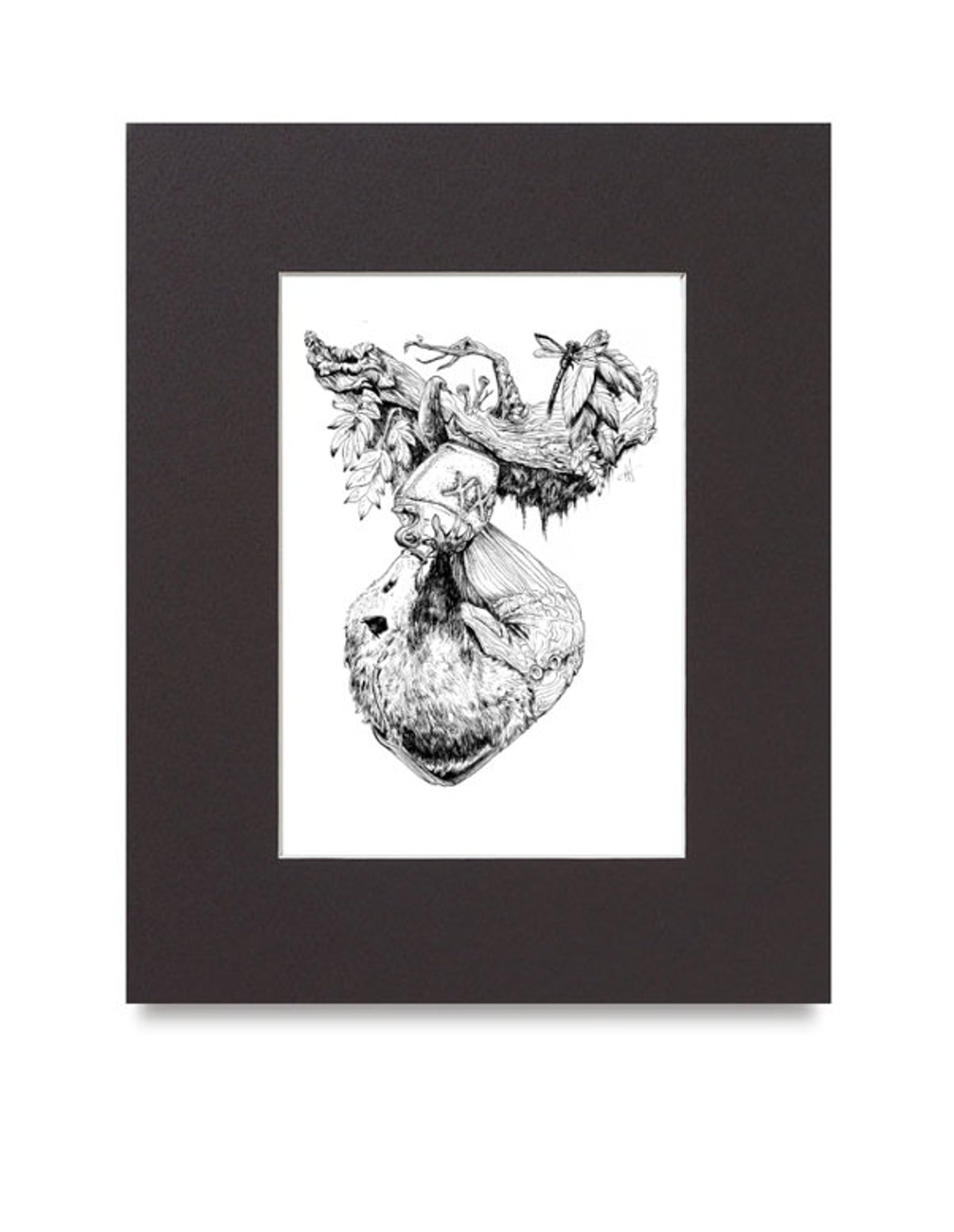 Ol' Swamp Tales- Possum- Drawing- Line Drawing- April Alayne - Etsy