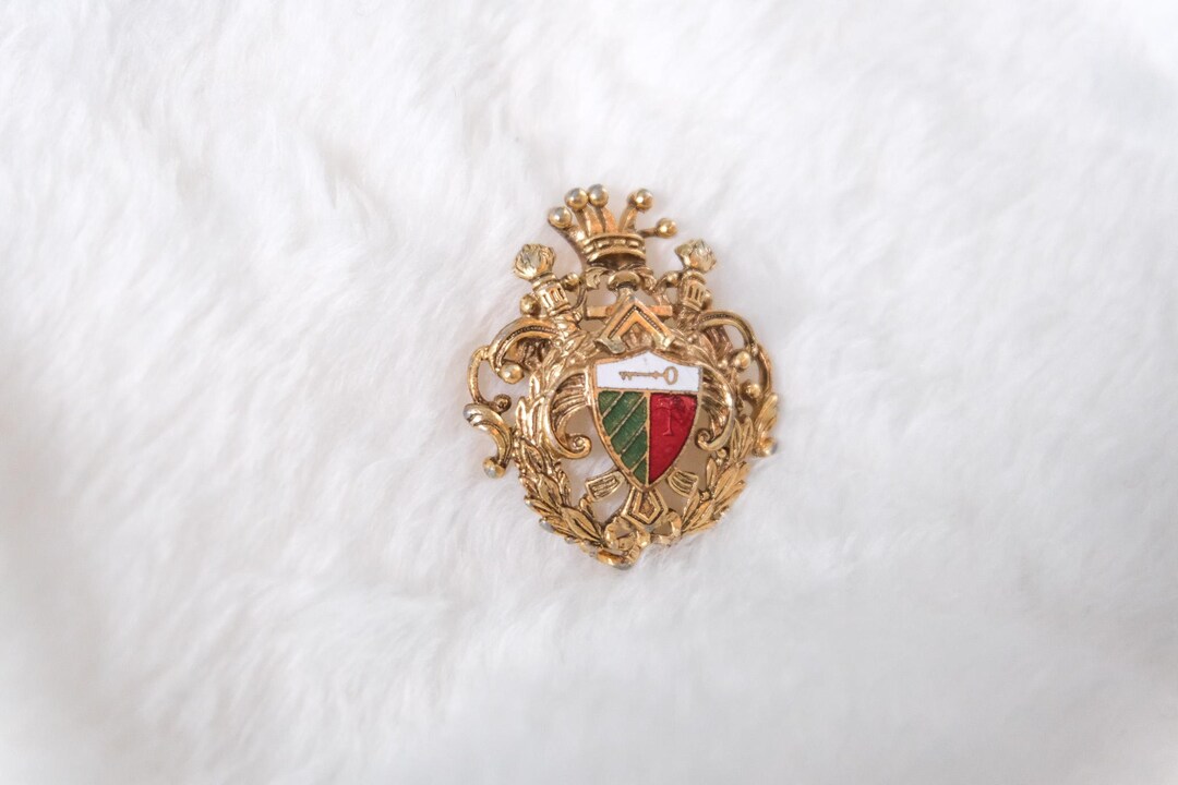 1970's Vintage Pin Brooch Family Crest - Etsy