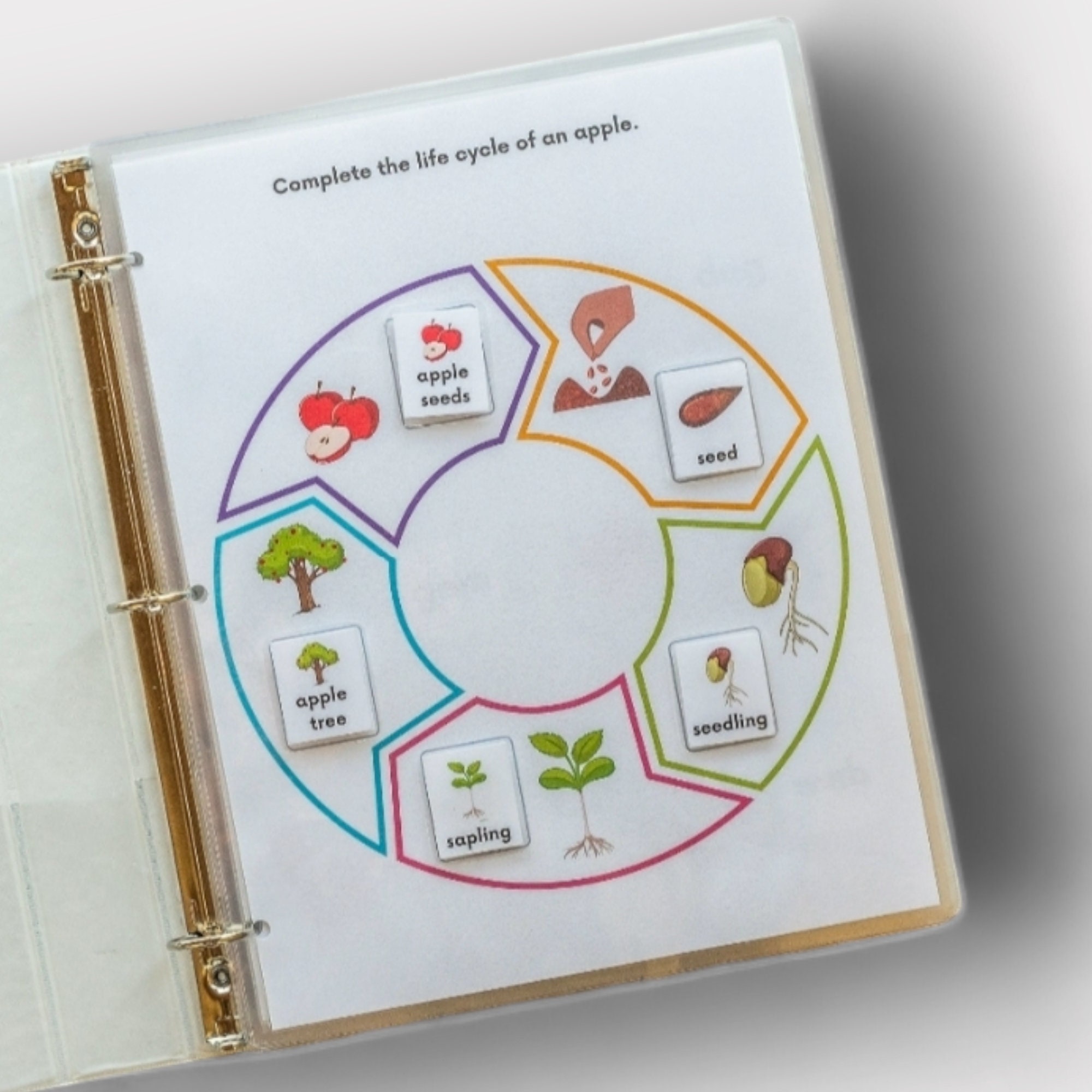 Finished Ready to Ship Busy Binder / Velcro, Laminated, Binder Included ...