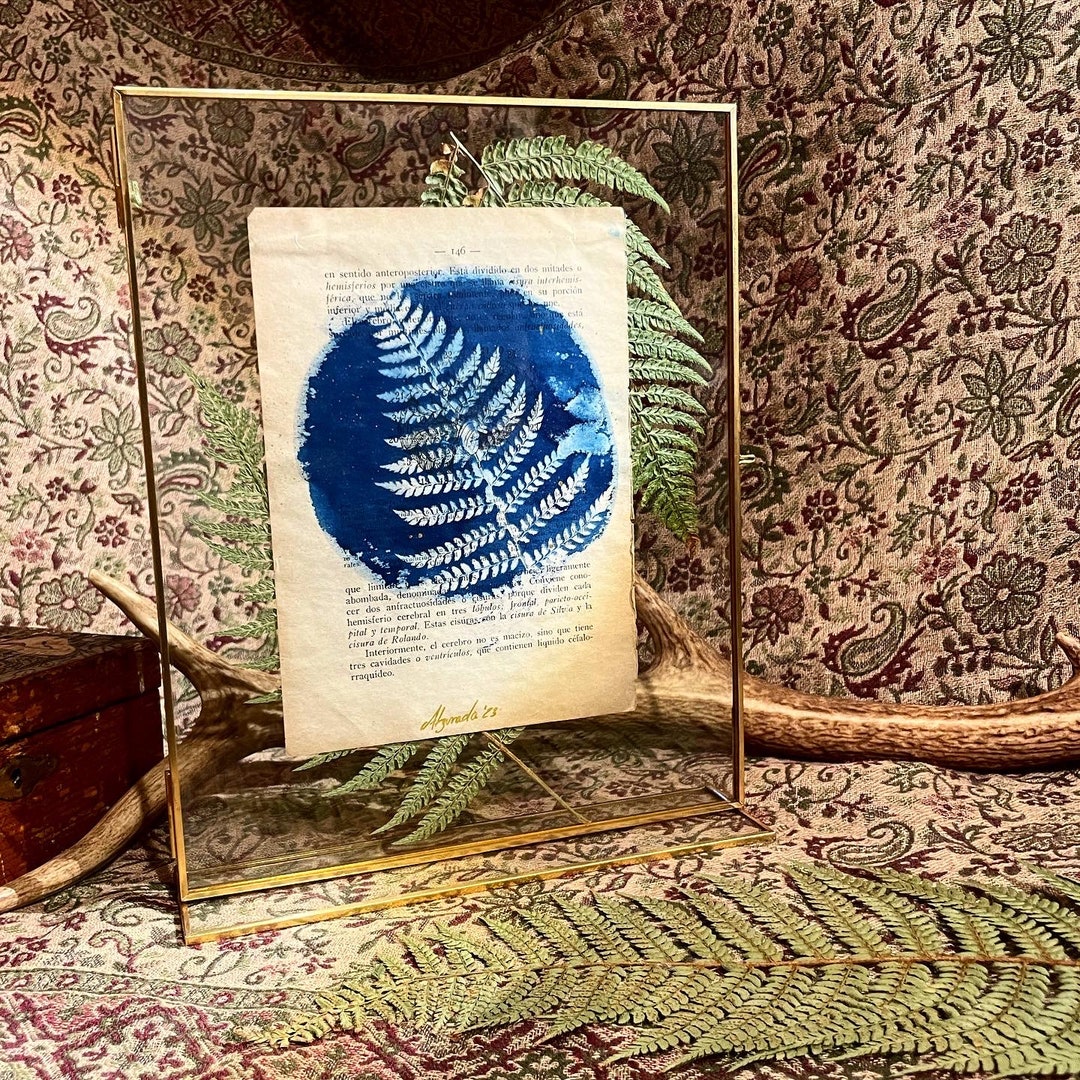 Vintage Anatomy Book Botanical Cyanotype Blue Print With Glass and Fern ...