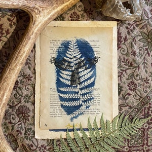 Vintage Anatomy Book Botanical Cyanotype Blue Print With Glass and Fern ...