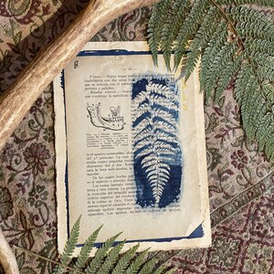 Vintage Anatomy Book Botanical Cyanotype Blue Print With Glass and Fern ...