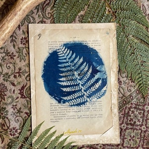 Vintage Anatomy Book Botanical Cyanotype Blue Print With Glass and Fern ...