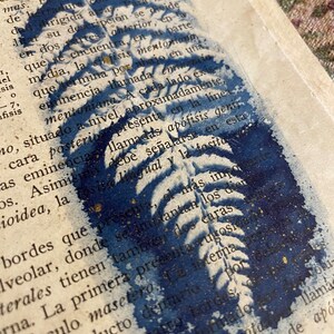 Vintage Anatomy Book Botanical Cyanotype Blue Print With Glass and Fern ...