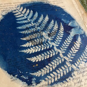 Vintage Anatomy Book Botanical Cyanotype Blue Print With Glass and Fern ...