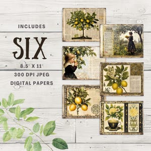 Vintage Lemons Junk Journal Pages 6 Digital Scrapbook Papers Printable ...