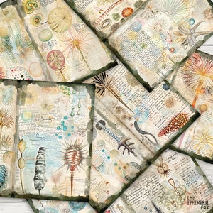 Under the Microscope Junk Journal Pages, 6 Digital Scrapbook Pages, 11 ...